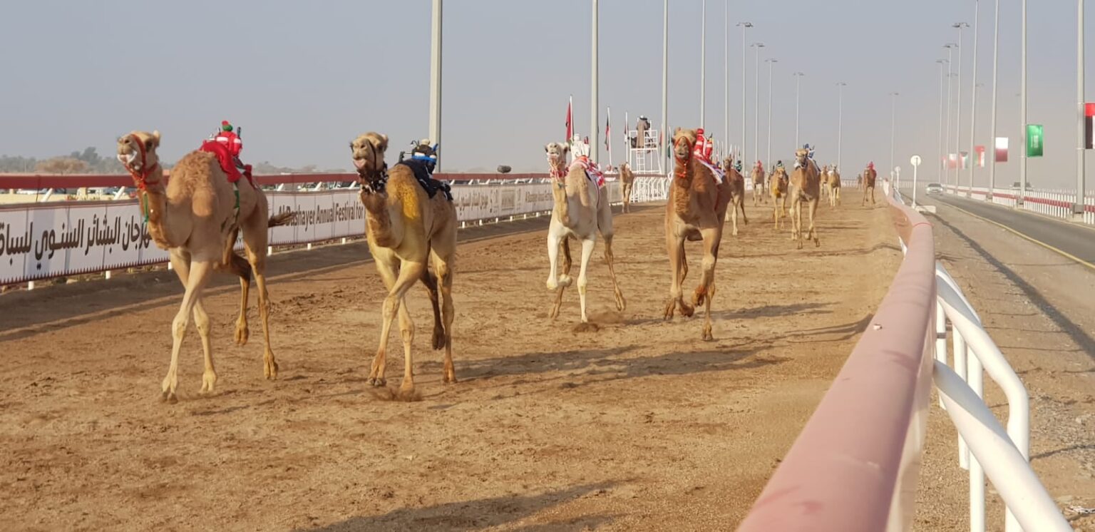 Kumzar Village: A Hidden Gem of Oman’s – Travel Guide